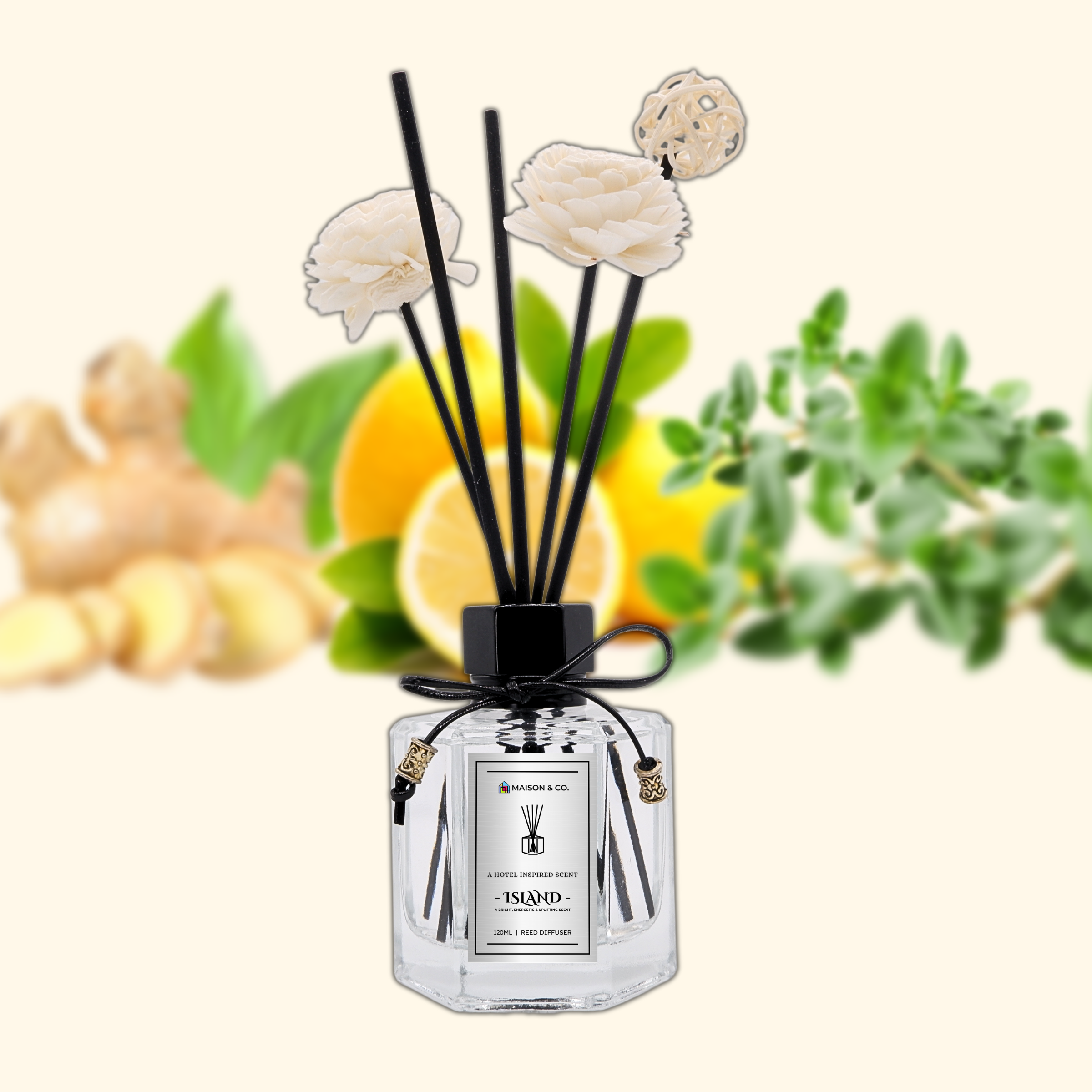 ISLAND | A HOTEL INSPIRED SCENT – Maison & Co.